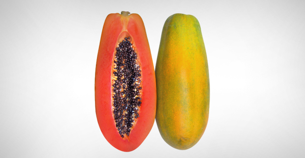 Passion Red | Semillas del Caribe